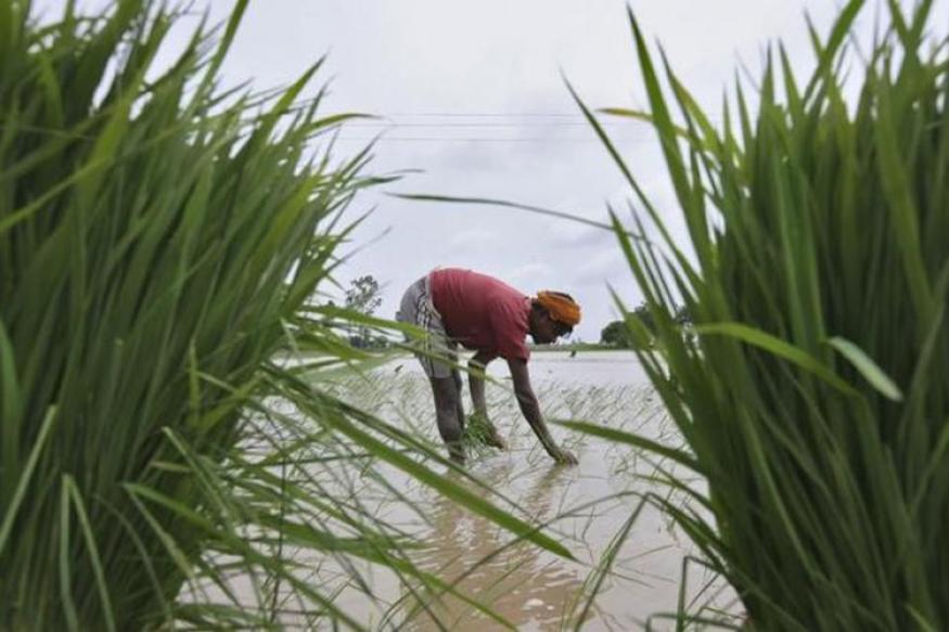 National food security ministry partners with USAID to enable agri ...