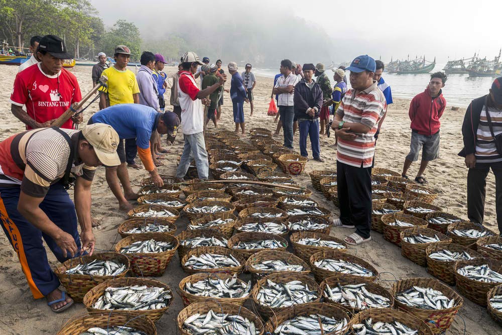 Country’s fish exports witness a rise of 17pc - Profit by Pakistan Today