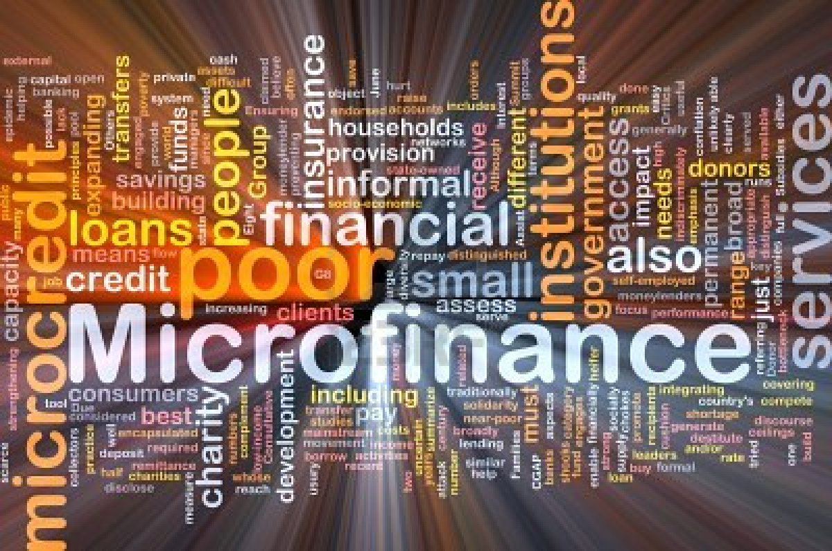 Micro-finance sector recorded 47.3pc growth in its portfolio till ...