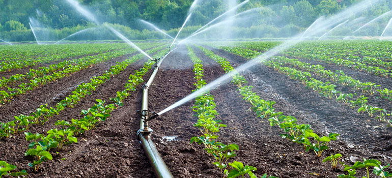 Punjab’s target achievement for irrigation initiative still a distant ...