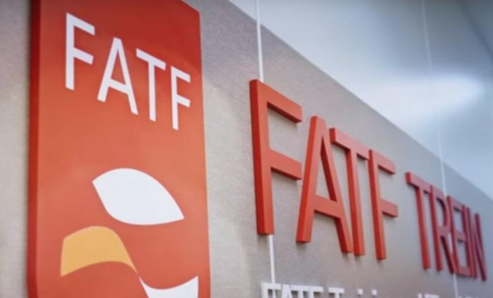 Pakistani delegation reaches China for FATF meeting - Profit by ...