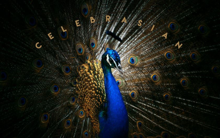 Pakistan to host 'AdAsia - Asian Advertising Congress' this year ...