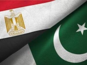 Pakistan, Egypt discuss strengthening trade ties with proposed MoU and ...