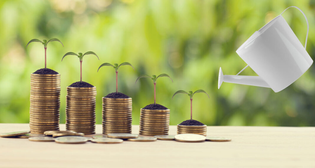 CDNS reduces profit rates on most savings schemes from January 5, 2026 ...