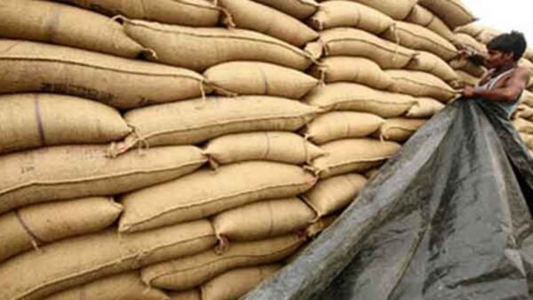 Wheat seed delays expose coordination gaps in inter-provincial ...