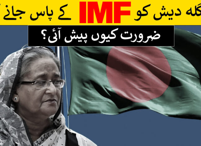 Exporters to EU advised to join REX before Dec 30th - Profit by ...