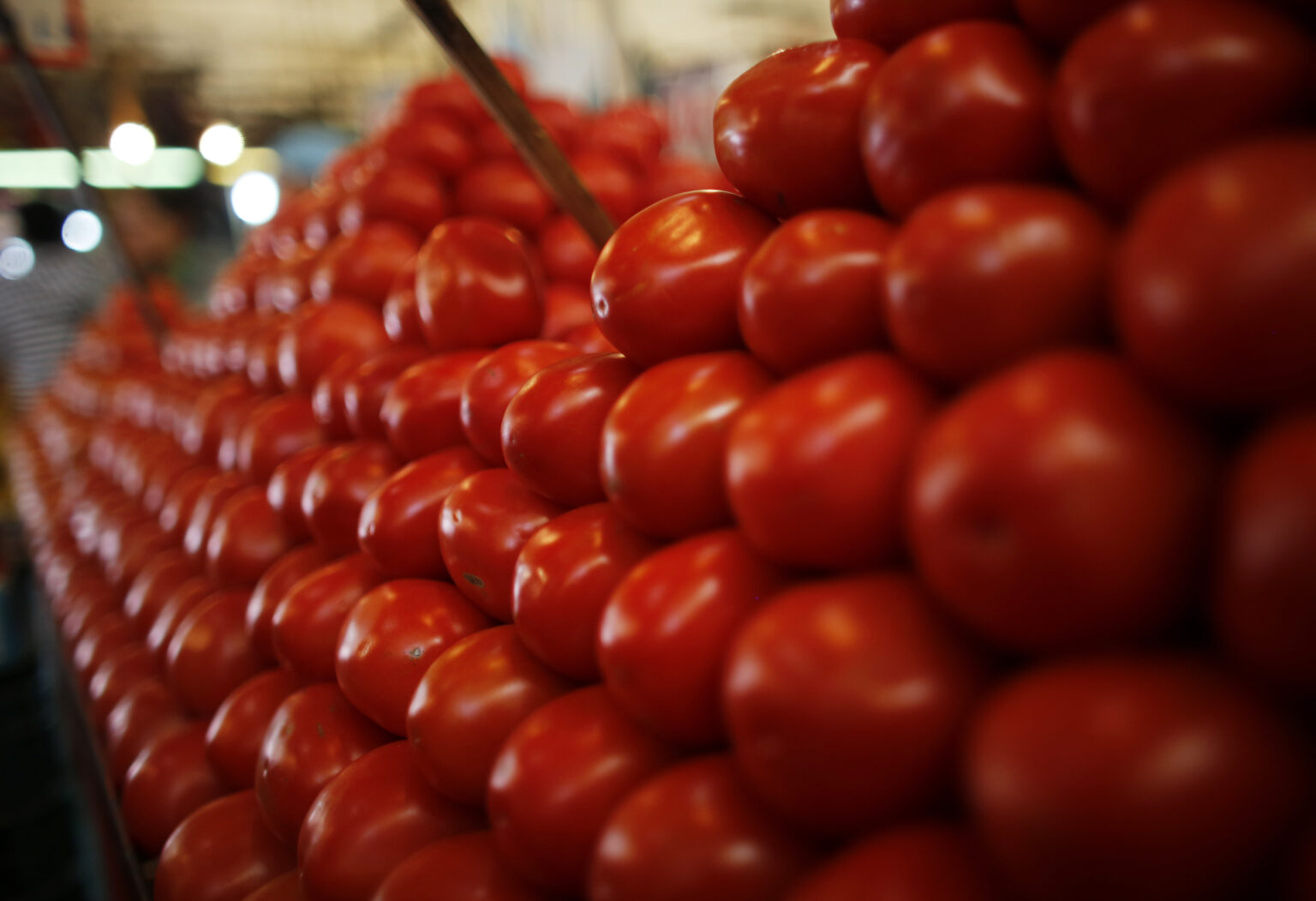 Tomato prices ease after imports from Iran, but supply concerns loom ...
