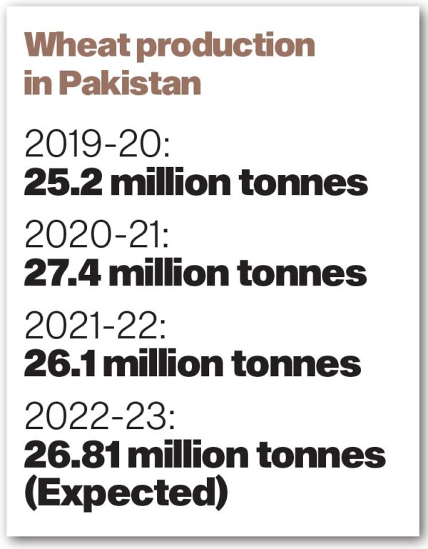 Wheat woes - Our need and inability to grow more - Profit by Pakistan Today