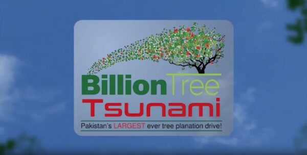Audit uncovers Rs5.2bn mismanagement in PTI’s 10 Billion Tree Tsunami ...