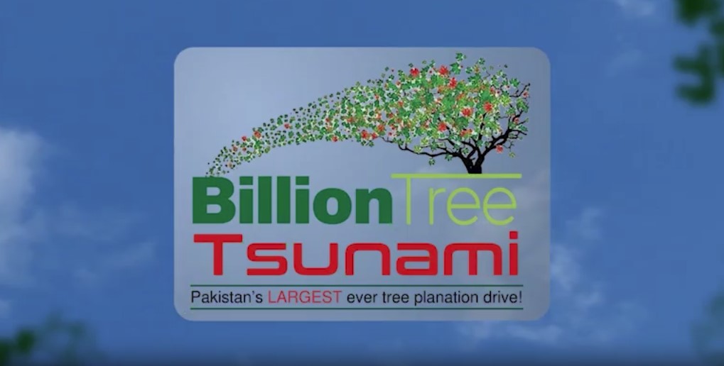 Audit uncovers Rs5.2bn mismanagement in PTI’s 10 Billion Tree Tsunami Programme - Profit by ...