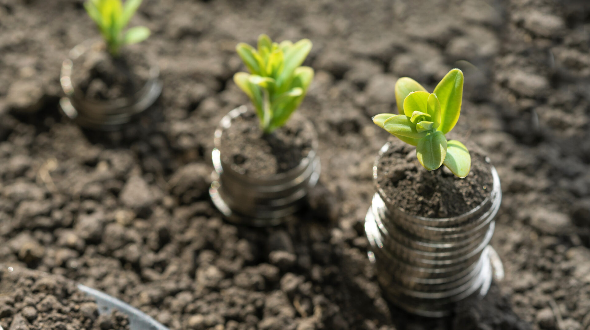 If Pakistan’s agriculture is to thrive, farmers need banks. But the ...