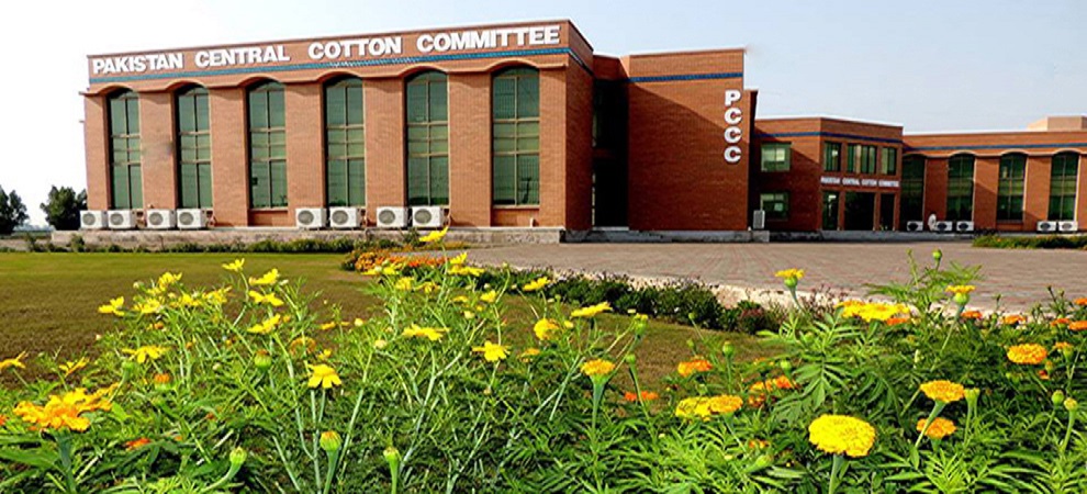 Govt mulls handing over Central Cotton Committee to Aptma or NARC amid ...