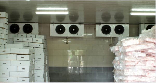 Nepra maintains commercial tariff for cold storages despite dissent ...