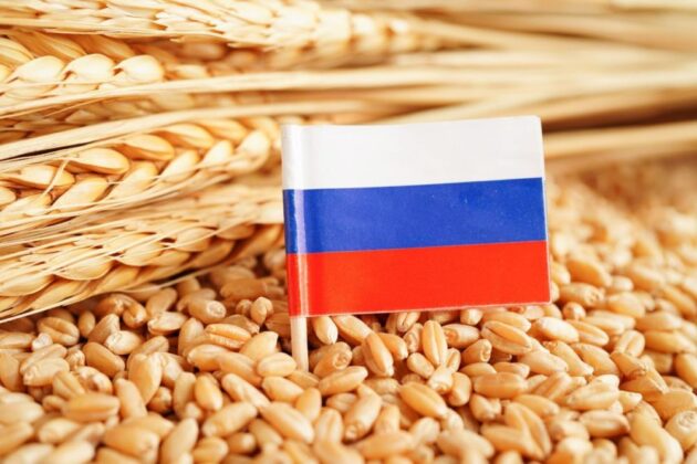Afghanistan emerges as top buyer of Russian wheat flour with $80 ...