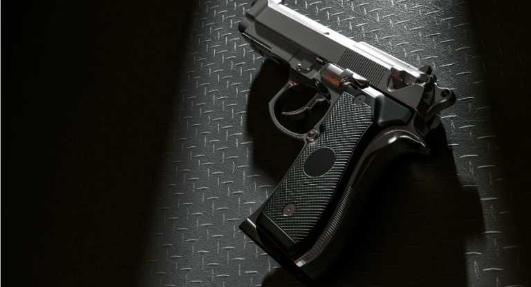 Punjab home department uncovers fake arms licence website defrauding ...