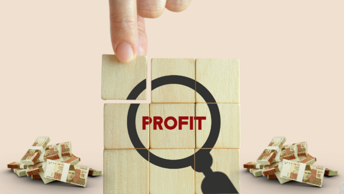 Profit-making SOEs earn Rs709 billion in FY25, earnings concentrated in ...